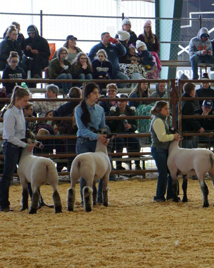 Judges – Montgomery County Fair Association