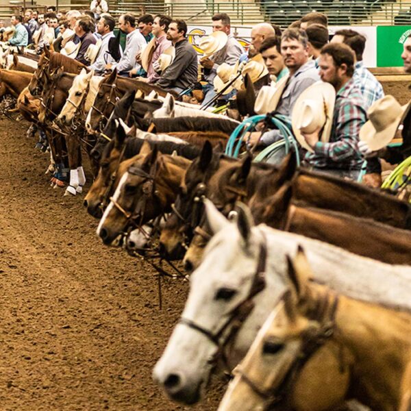 Calendar of Events – Montgomery County Fair Association